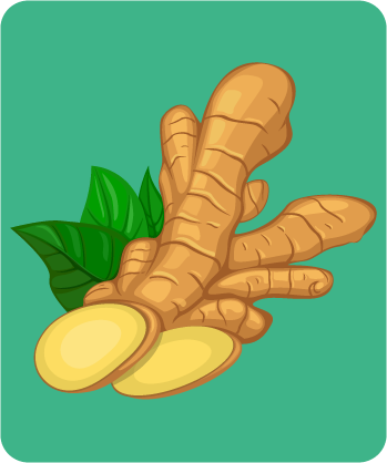 Ginger - Holistic Caring